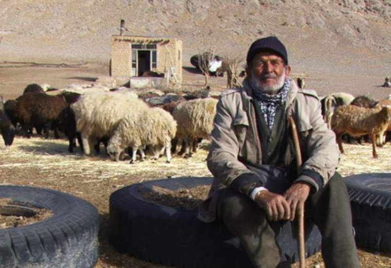فیلم غوغای خوانندگی آهنگ شجریان توسط پیرمرد چوپان کبنانیوز